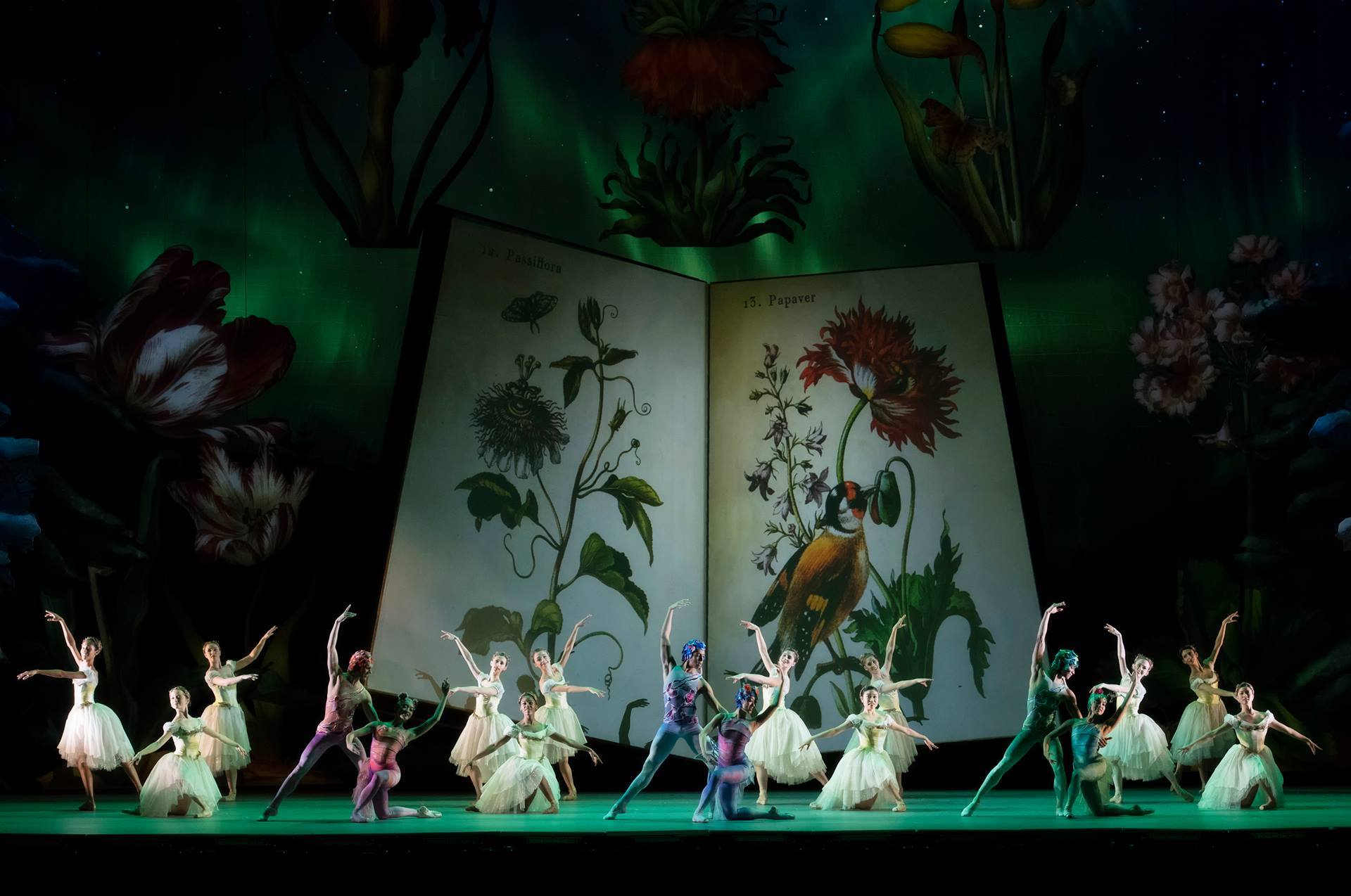 Atlanta Ballet | The Nutcracker